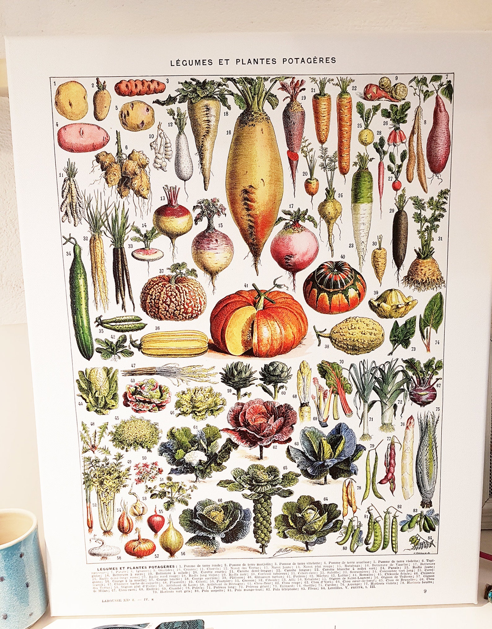 18x24 Canvas vegetables botanical wall art for large | Etsy