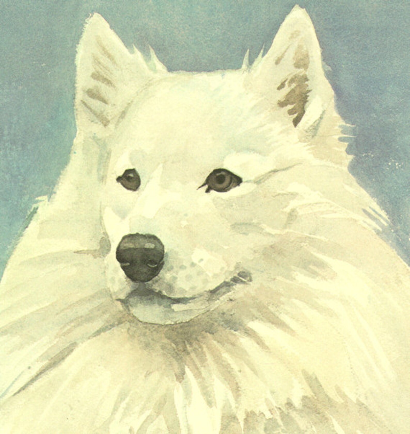 Samoyed Art 1975 Vintage Dog Print Gift for Dog Lover Dog | Etsy