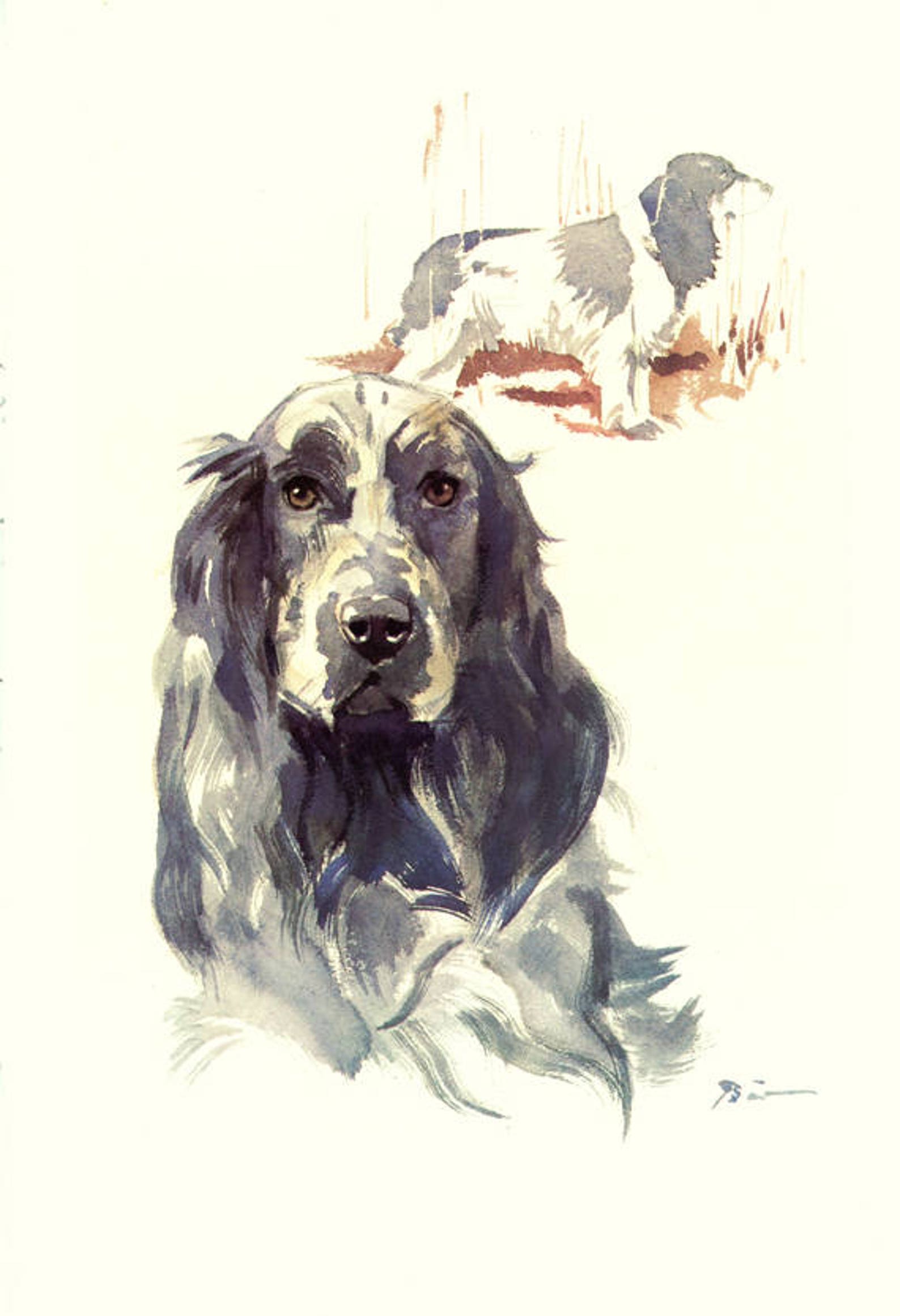 Cocker Spaniel Gift 1975 Vintage Dog Poster Dog Print Dog Art - Etsy