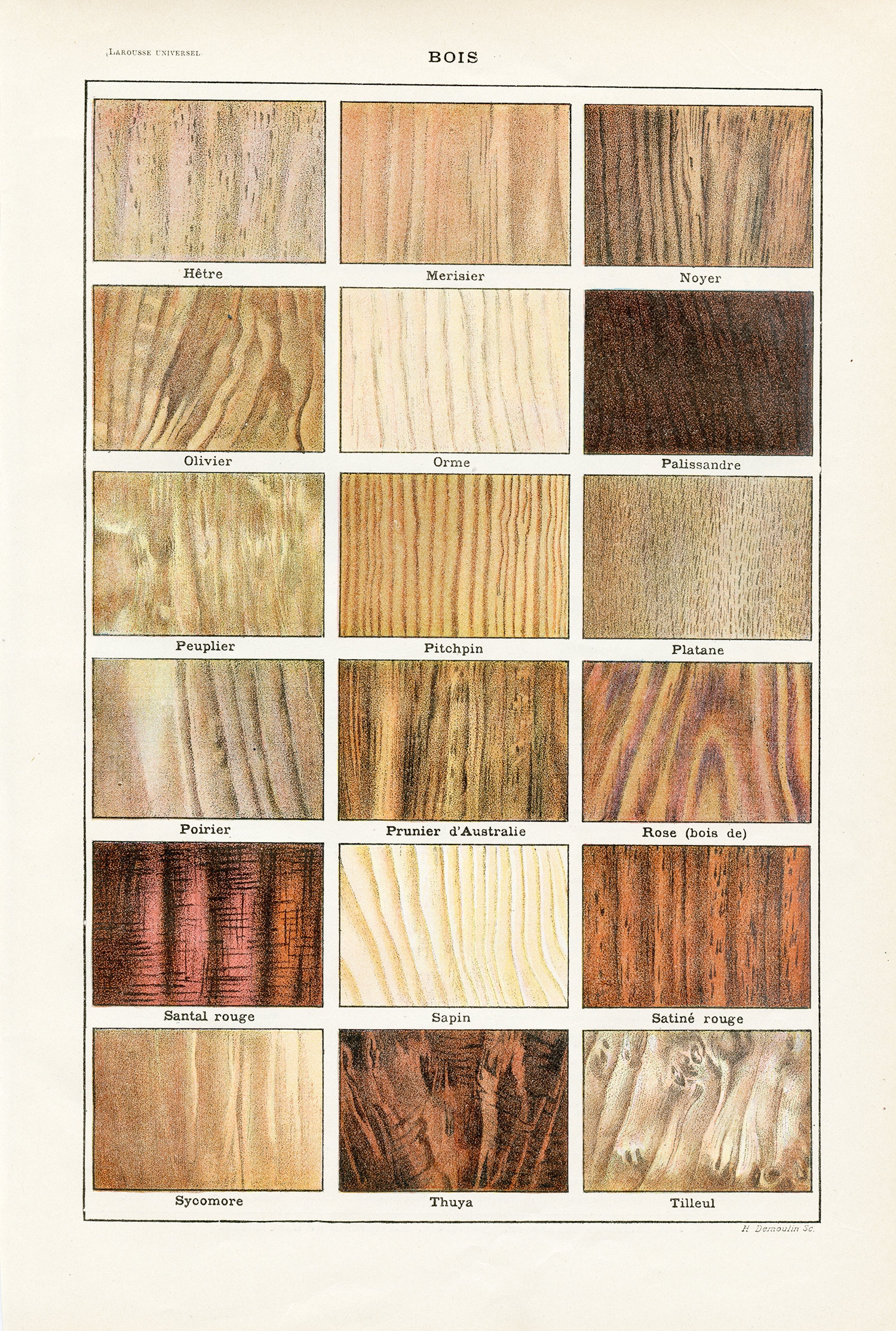 Types Of Wood Grain Patterns
