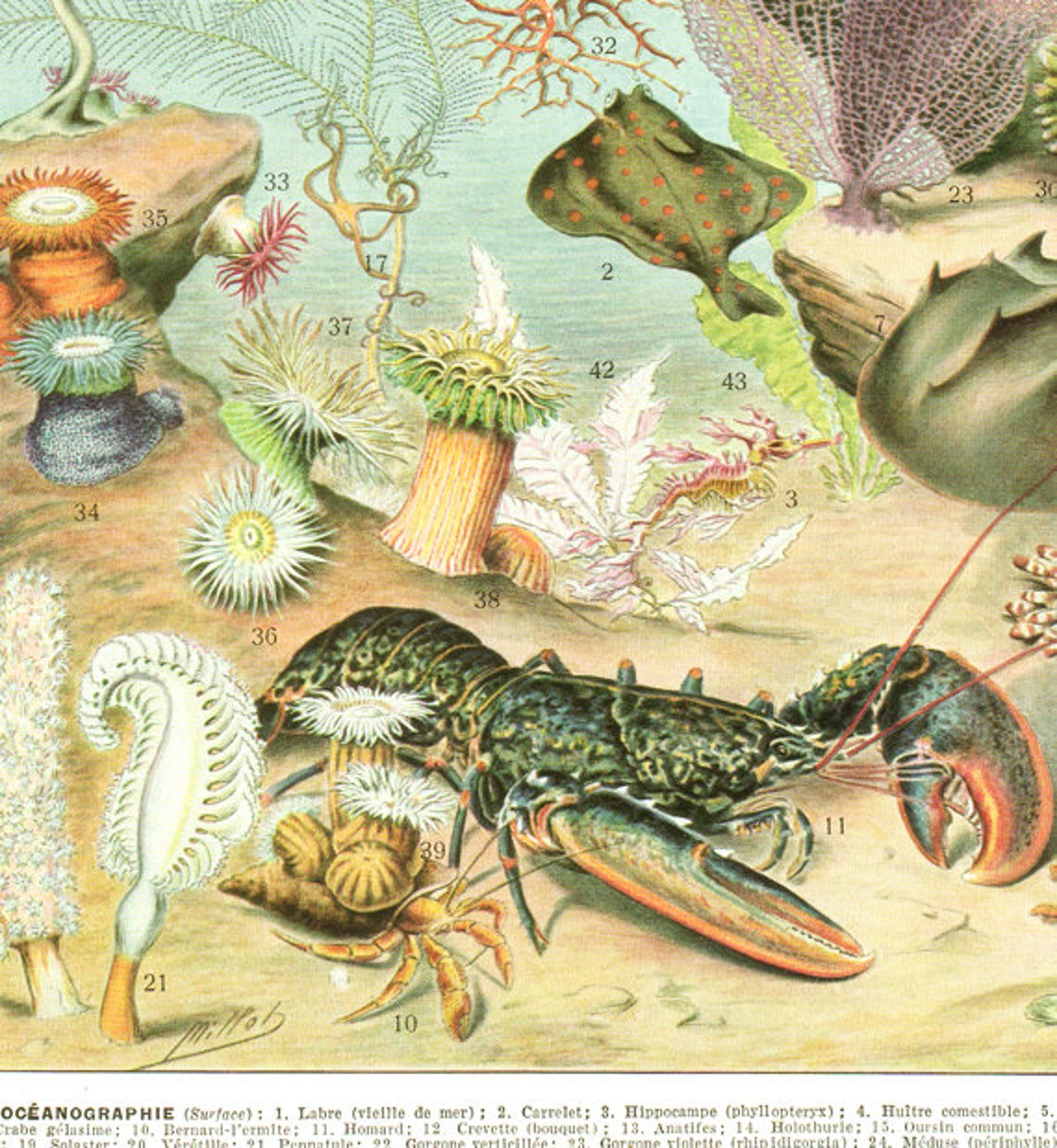 1936 Vintage Sea Poster Oceanography Poster Marine Poster - Etsy