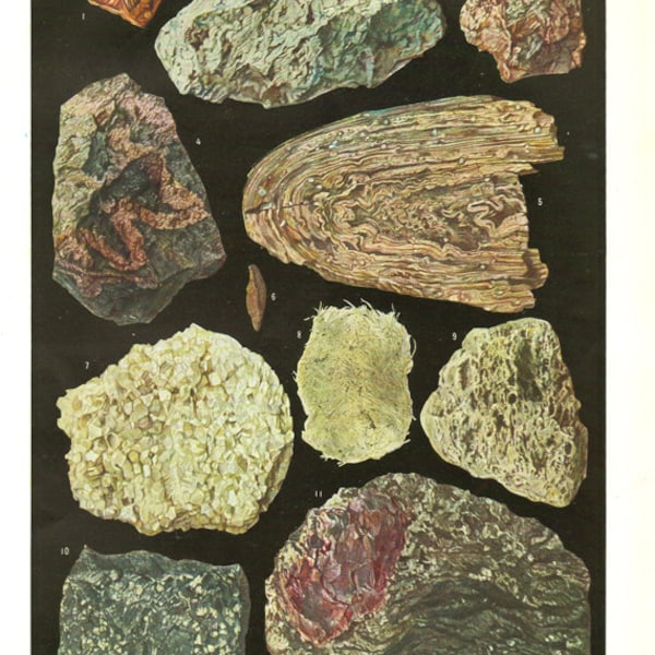 Geology Art - Etsy