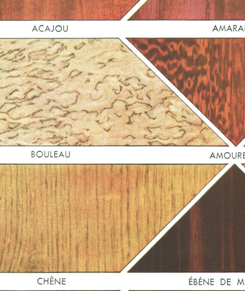 1948 Precious Wood Poster Wood Grain Types Vintage Woodworking Print ...