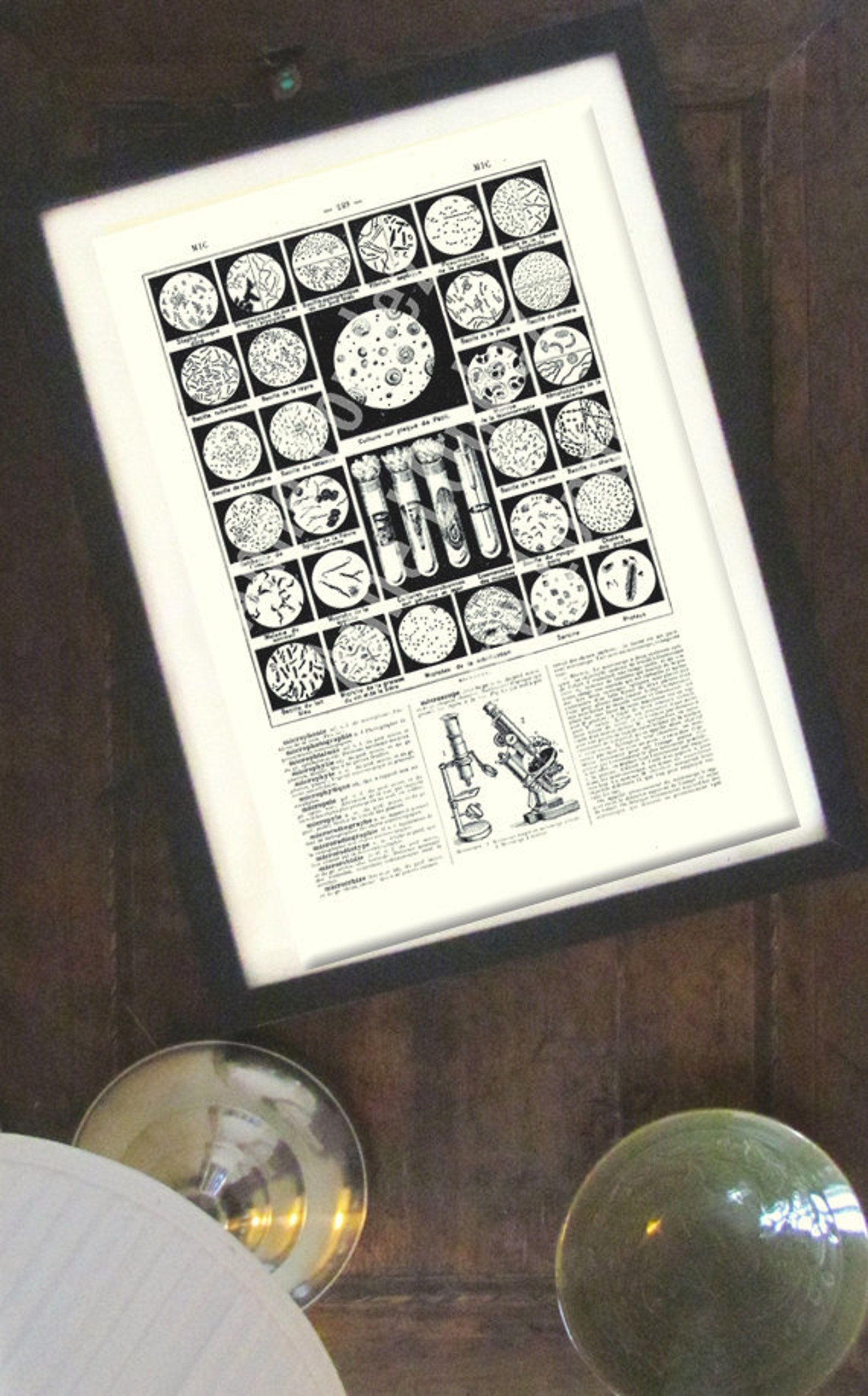 Science Print From 1922 Medical Poster Antique Germs Poster | Etsy