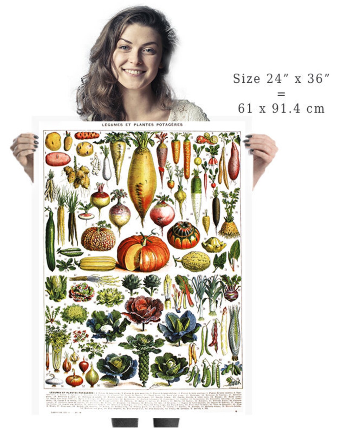 24x36 Vegetable Art Print Extra Large Kitchen Decor | Etsy
