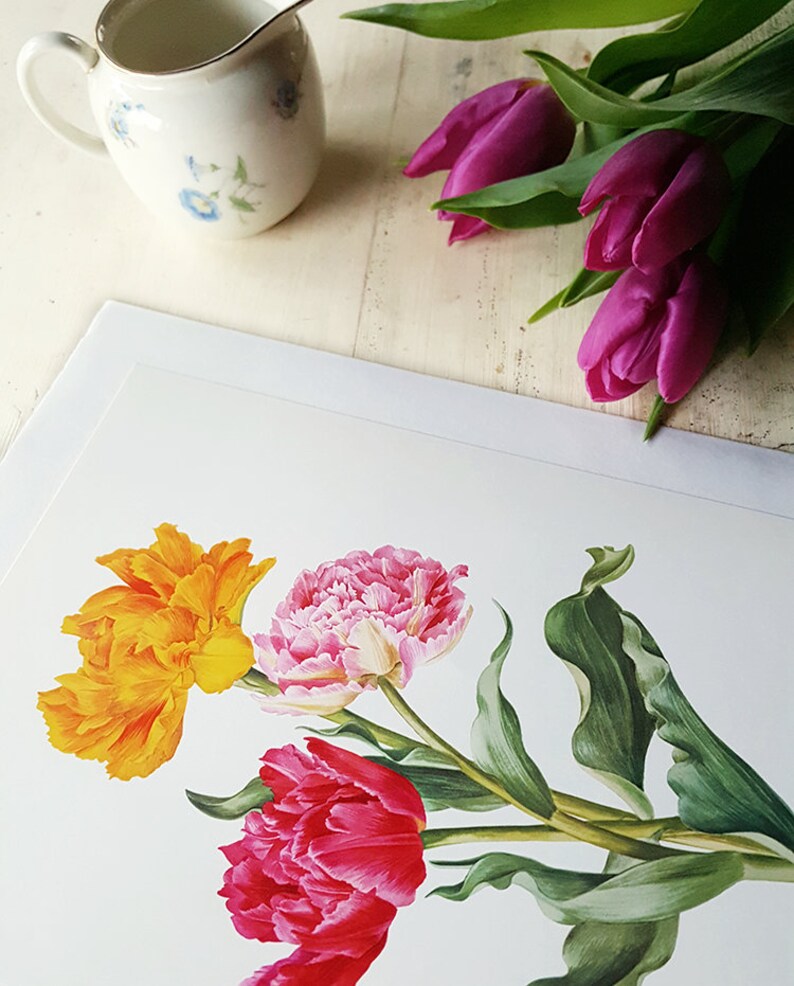 Double Tulip Wall Art Print 1964 Vintage Tulip Botanical - Etsy