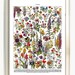 24x36 Large Botanical Poster of Flowers. Vintage Annual - Etsy