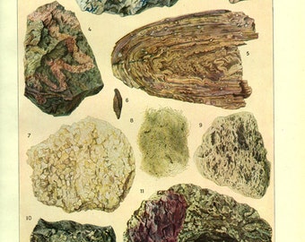 Rocks Poster 1948 Vintage Geology Art Rocks Decor Rocks Gift | Etsy