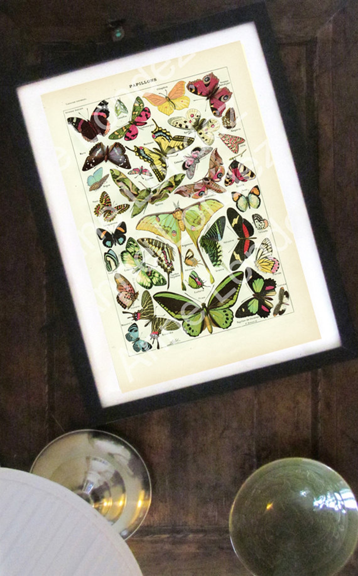 Printable Butterfly Chart Butterflies Natural History Decor | Etsy