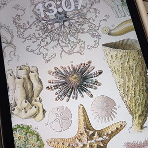 Retro Oceanography iPad Wallpaper for Marine Biology Aesthetic iPad ...