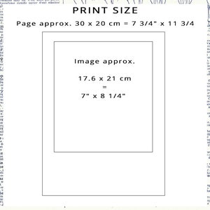 197 Cute Spalax Mole Print for Vintage Rodent Animal Home Decor. Blind ...