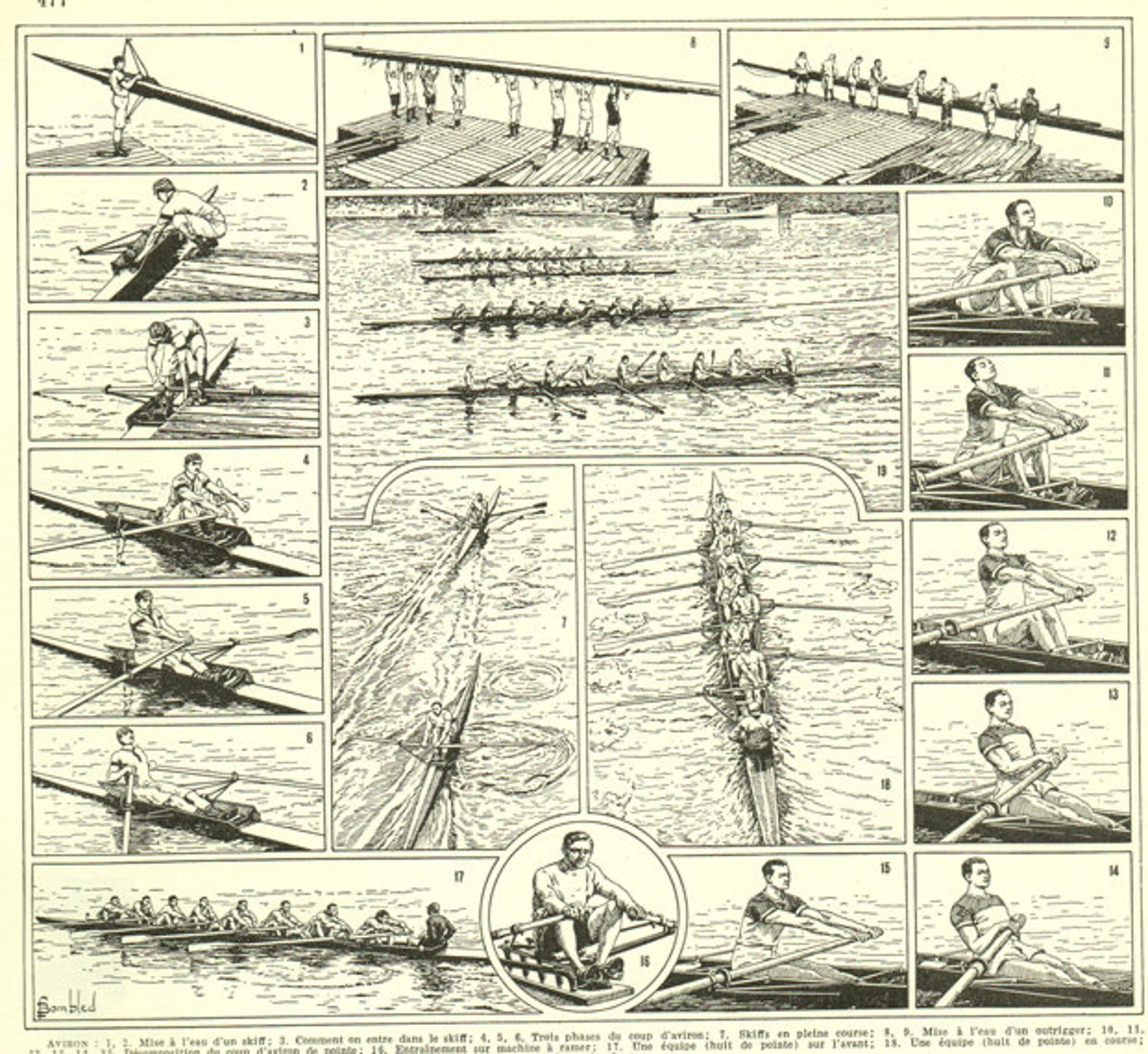 Rowing Poster 1936 Vintage Rowing Print Rowing Art Vintage - Etsy