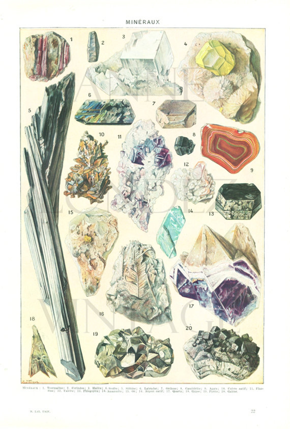 Minerals Chart Original 1948 Antique Minerals Poster Mineral - Etsy