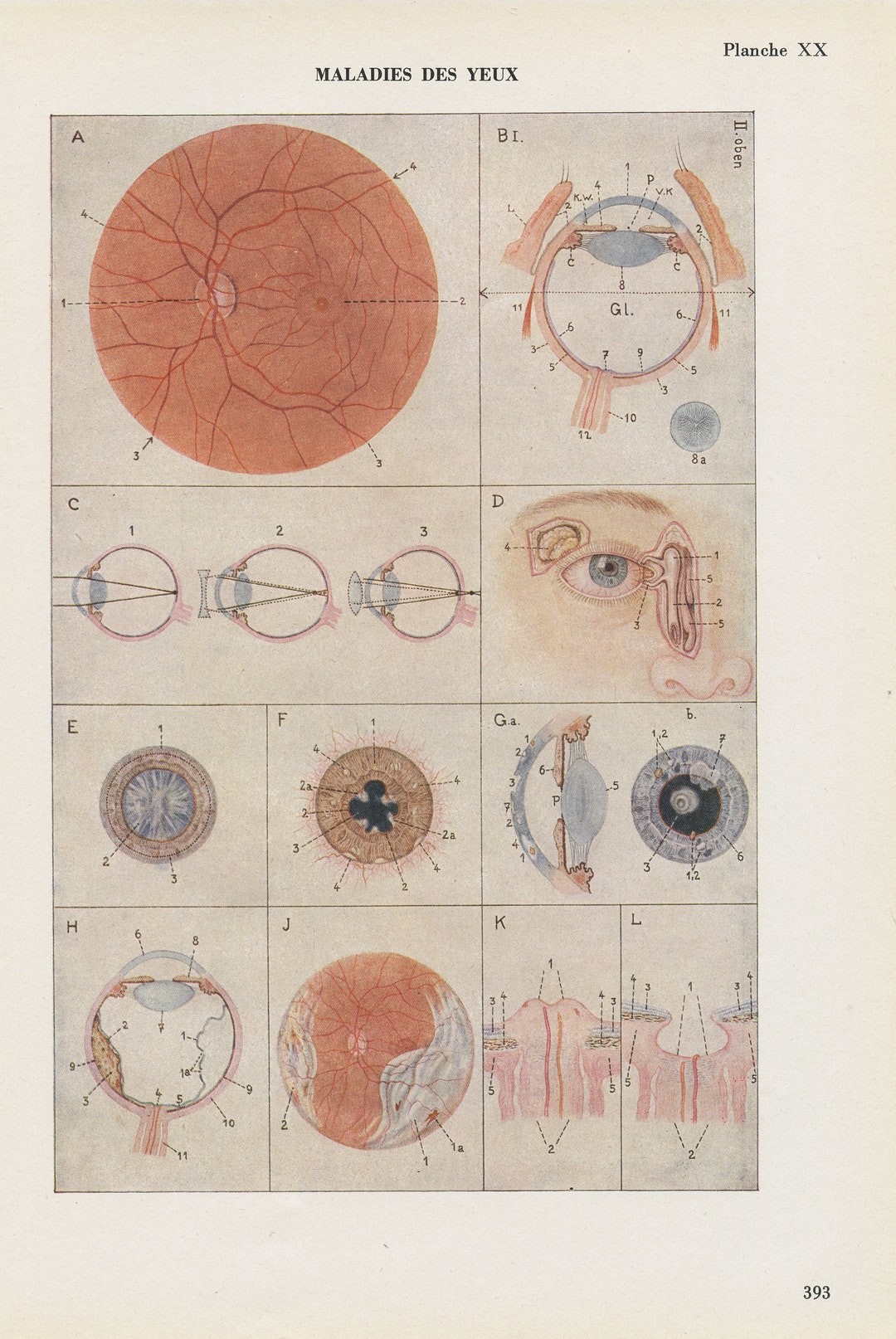 1962 Eye Anatomy Print. Small Antique French Vintage Medical ...