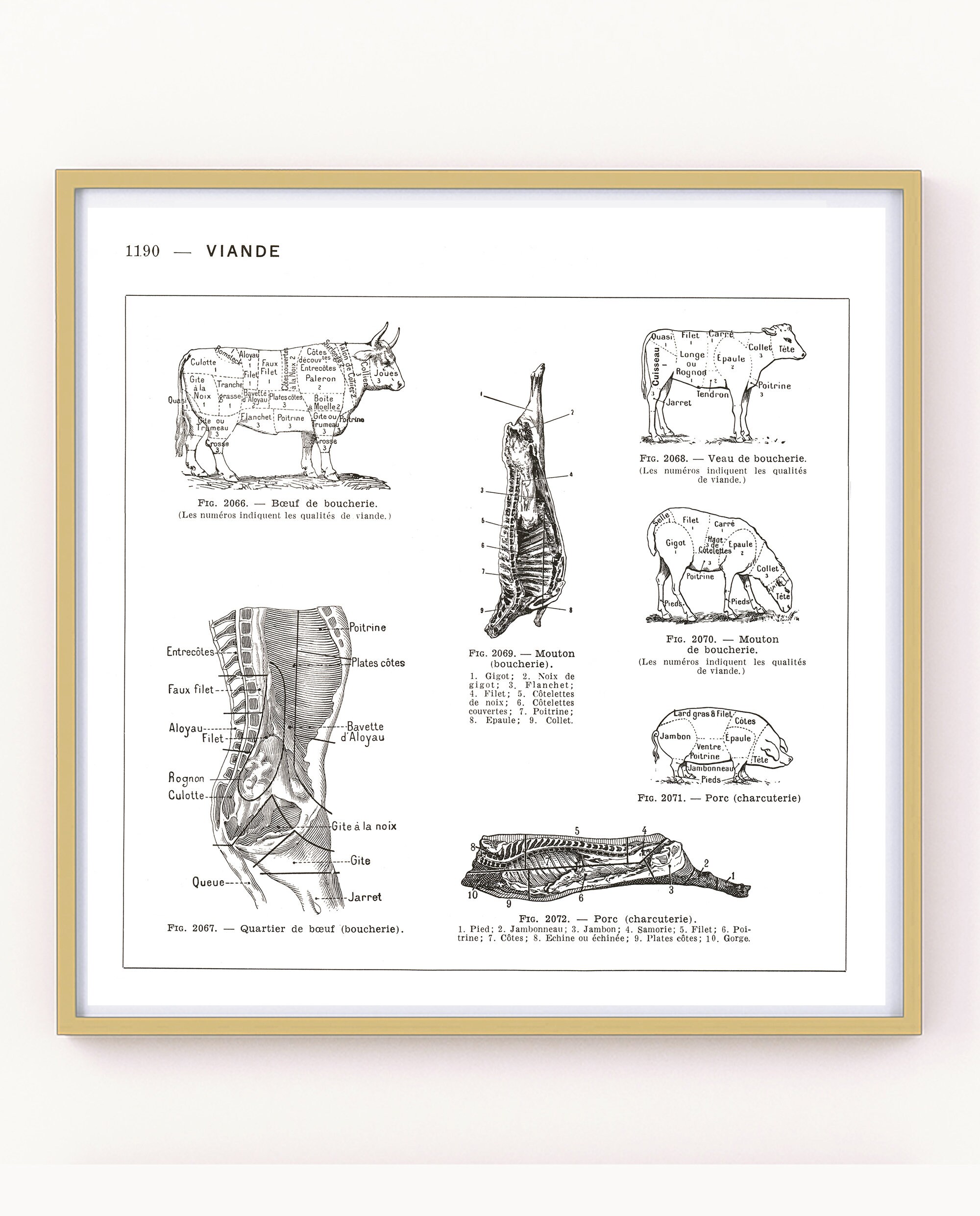 Large Square French Butcher Cuts Poster Reprint From 1952. Cuts of Beef ...