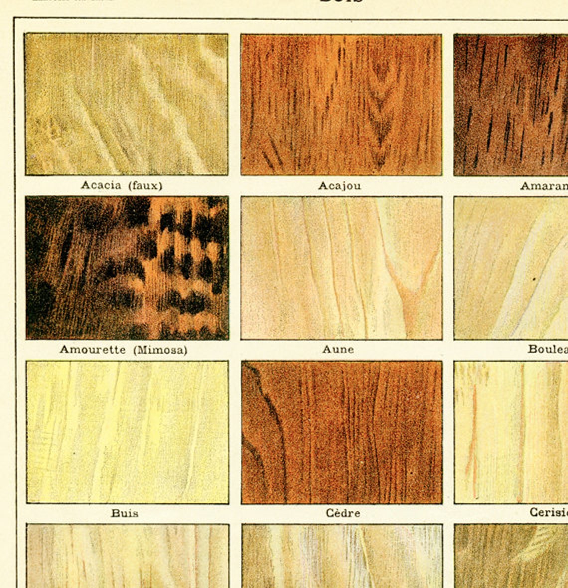 Woodcutter Poster 1922 Vintage Precious Wood Poster Logger - Etsy