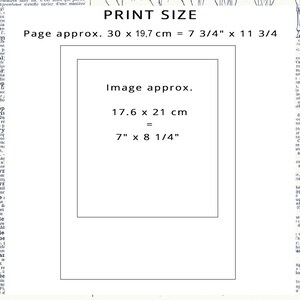 1970 Vintage Weasel Print. Small Vintage Rodent Poster. Animal Wall Art ...