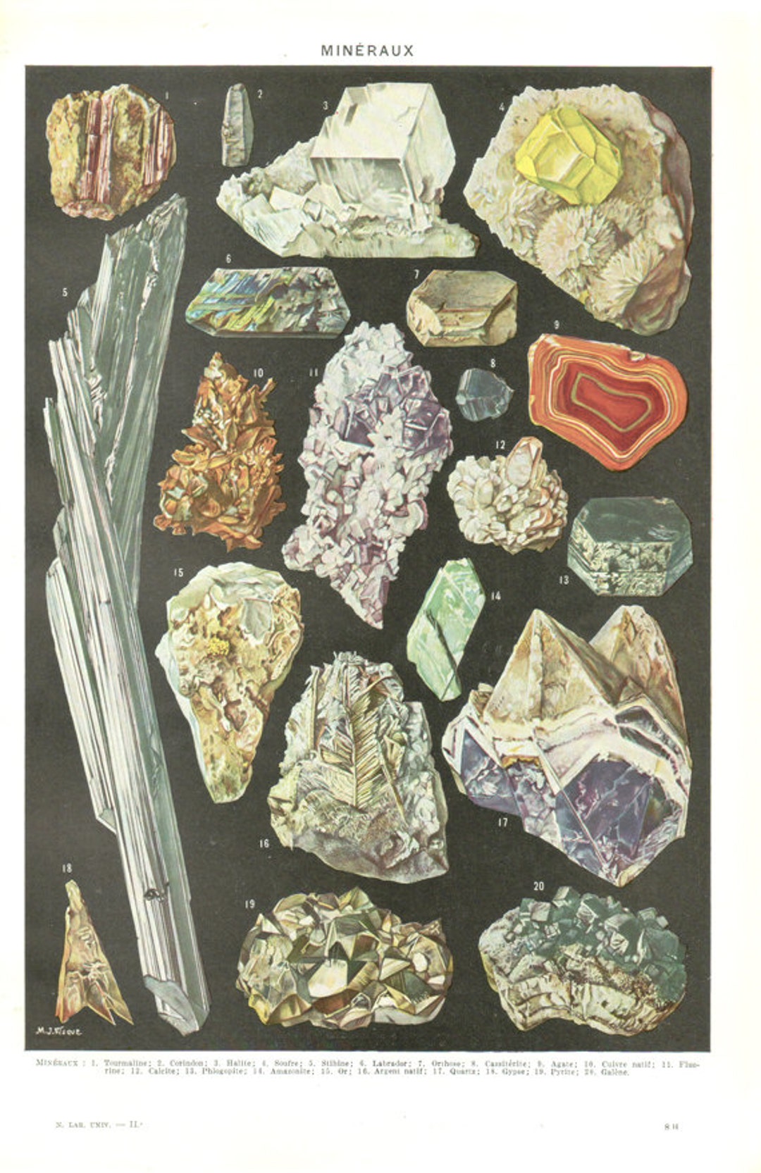 Minerals Poster 1948 Vintage Minerals Print Geology Poster Geology Gift ...
