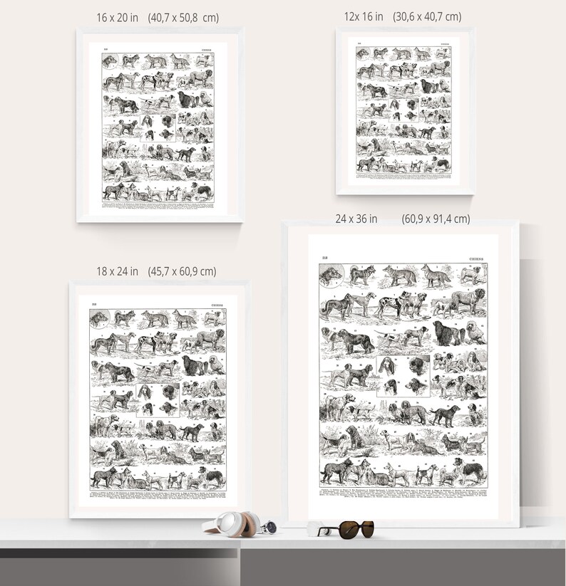 Extra Large Dog Wall Art Giclee Reprint for Dog Lover Gift. | Etsy