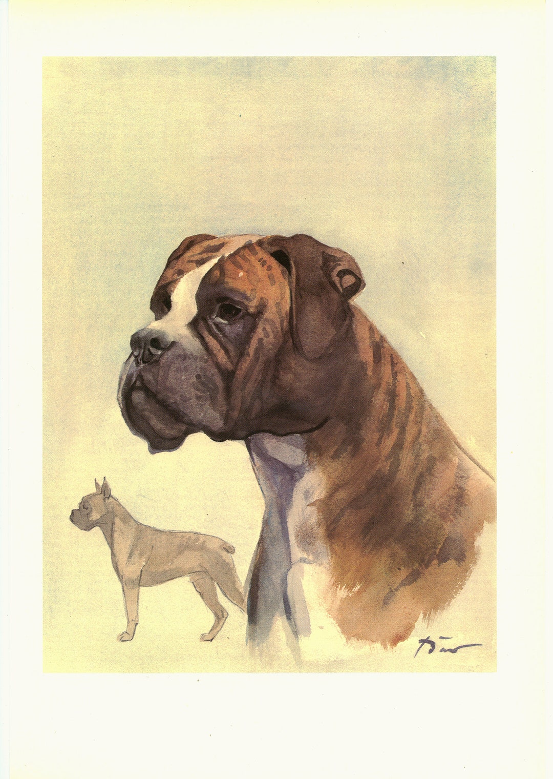 1975 Vintage Boxer Dog Print. Boxer Dog Lover Gift. Animal Wall Art ...