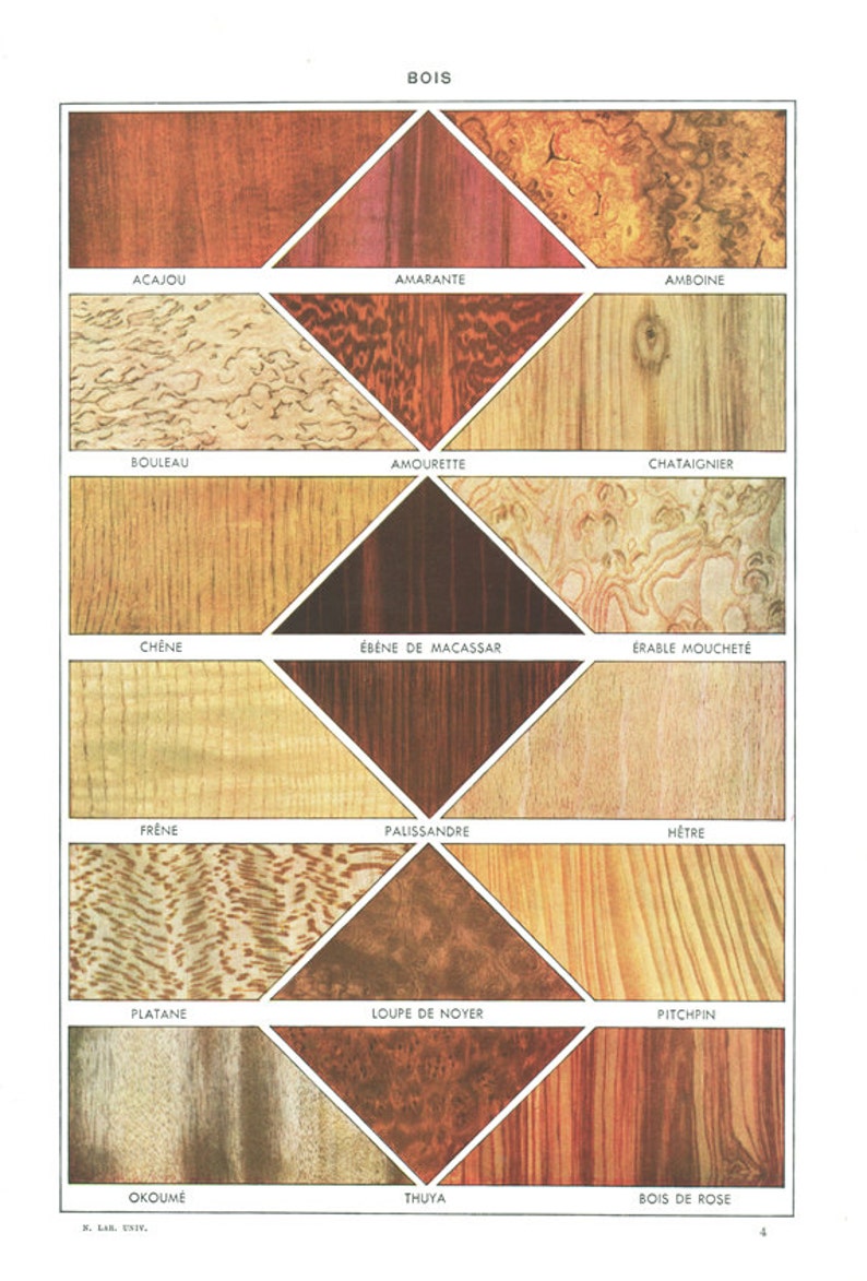 1948 Precious Wood Poster Wood Grain Types Vintage Woodworking | Etsy