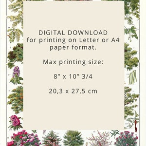 8.5x11" Tree Digital Download Tree Poster, Printable Vintage Tree Art ...