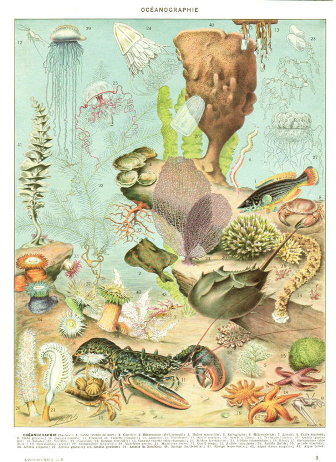 1936 Vintage Sea Poster Oceanography Poster Marine Poster - Etsy