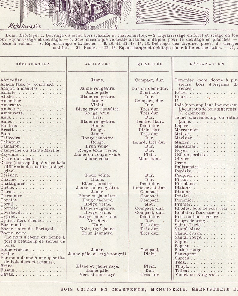 Woodcutter Poster 1922 Vintage Precious Wood Poster Logger - Etsy