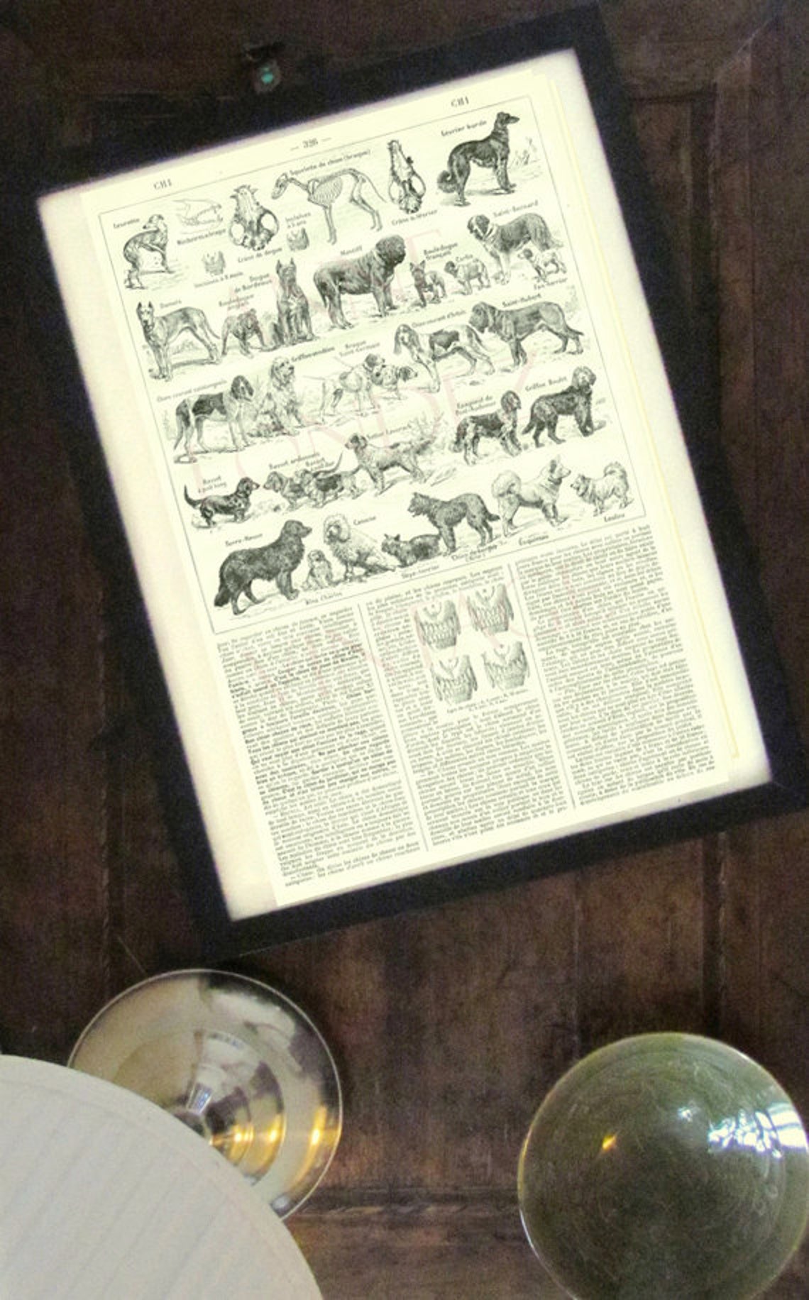 Dog poster breeds chart list from 1922. Vintage Dog gift. | Etsy