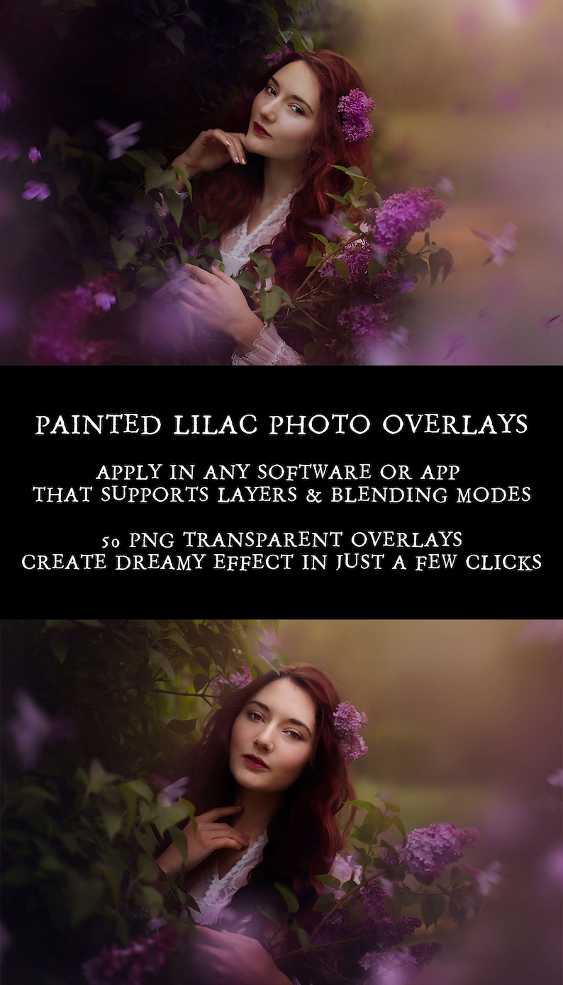 50 Painted Lilac Overlays Photo Overlay Floral Overlay - Etsy