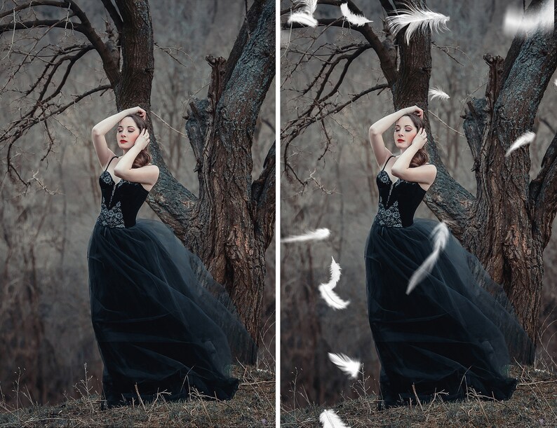 26 White Feather Overlays Falling Feathers Photoshop | Etsy