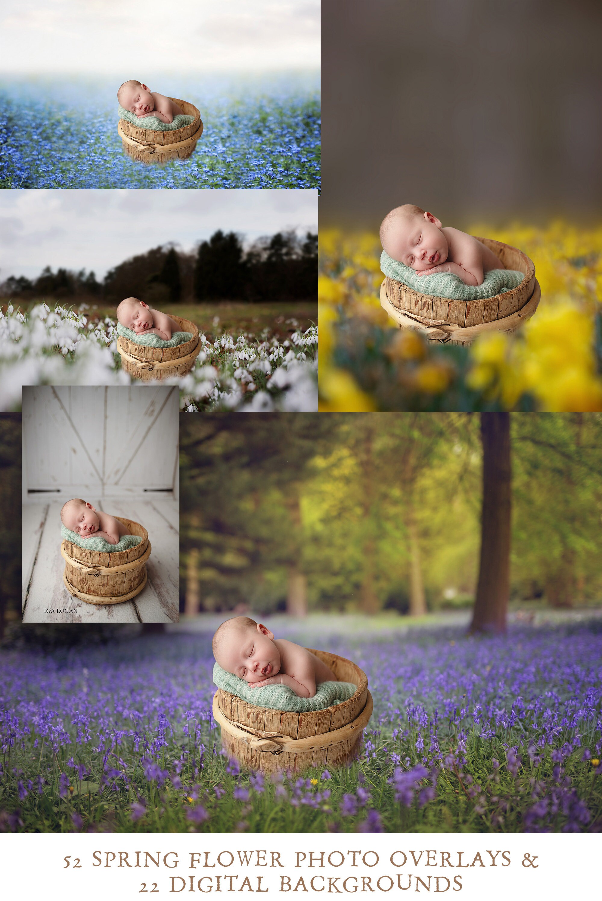 Spring flowers Photo Overlay Digital background Floral | Etsy