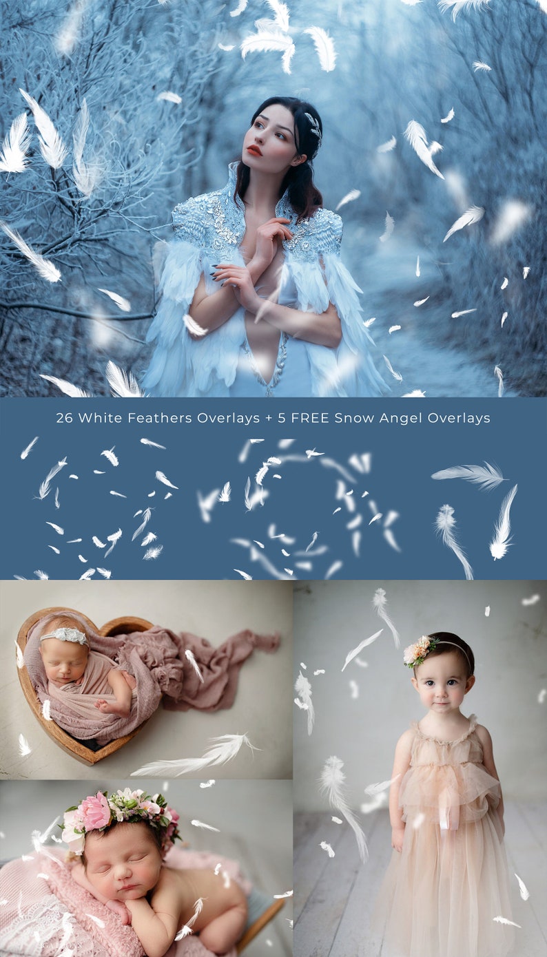 26 White Feather Overlays Falling Feathers Photoshop | Etsy