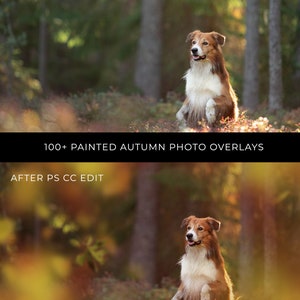 100 Painted Autumn Photo Overlays, Fall Digital Backdrop, Falling ...