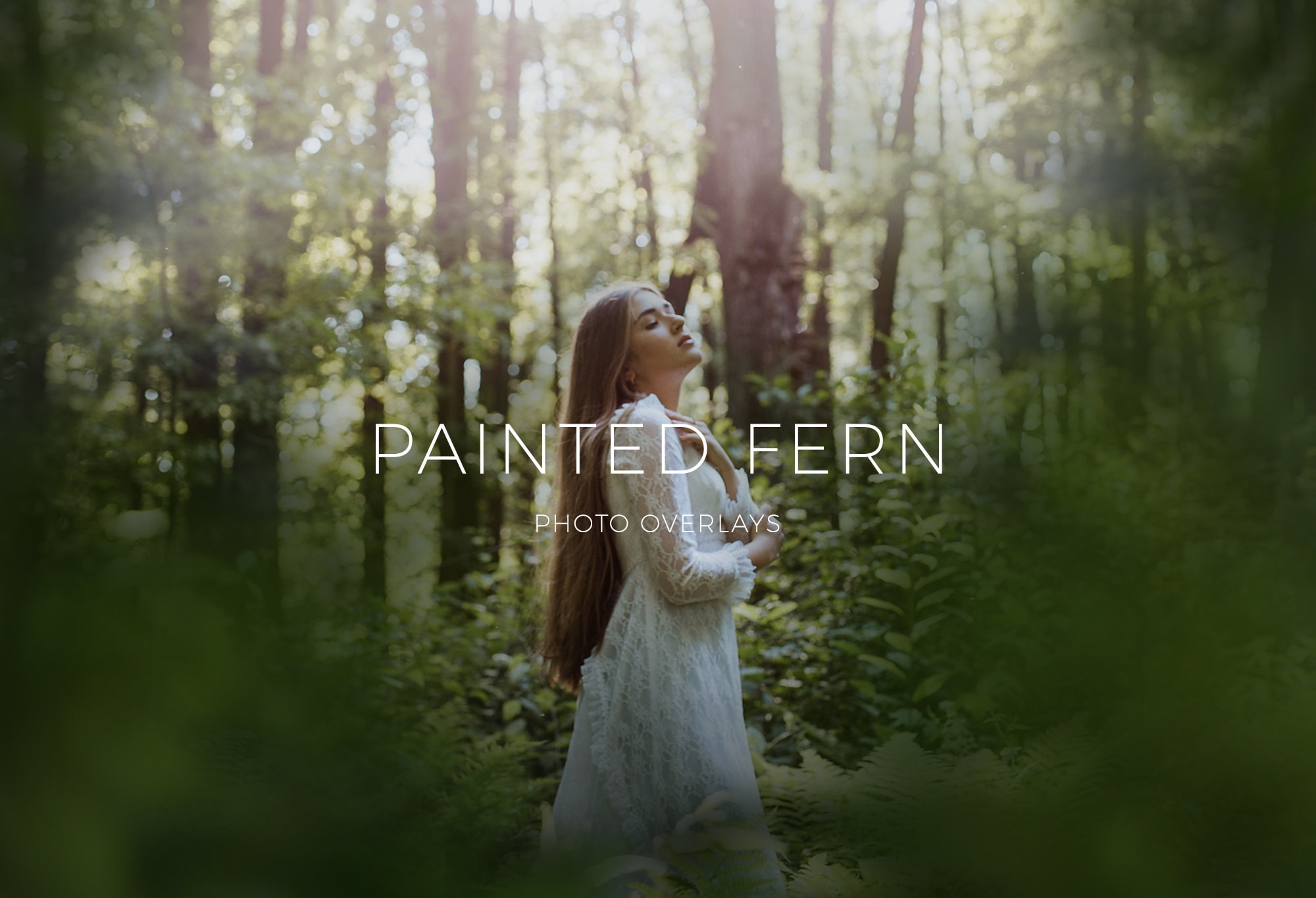 Lily Fern Forest Jamaica