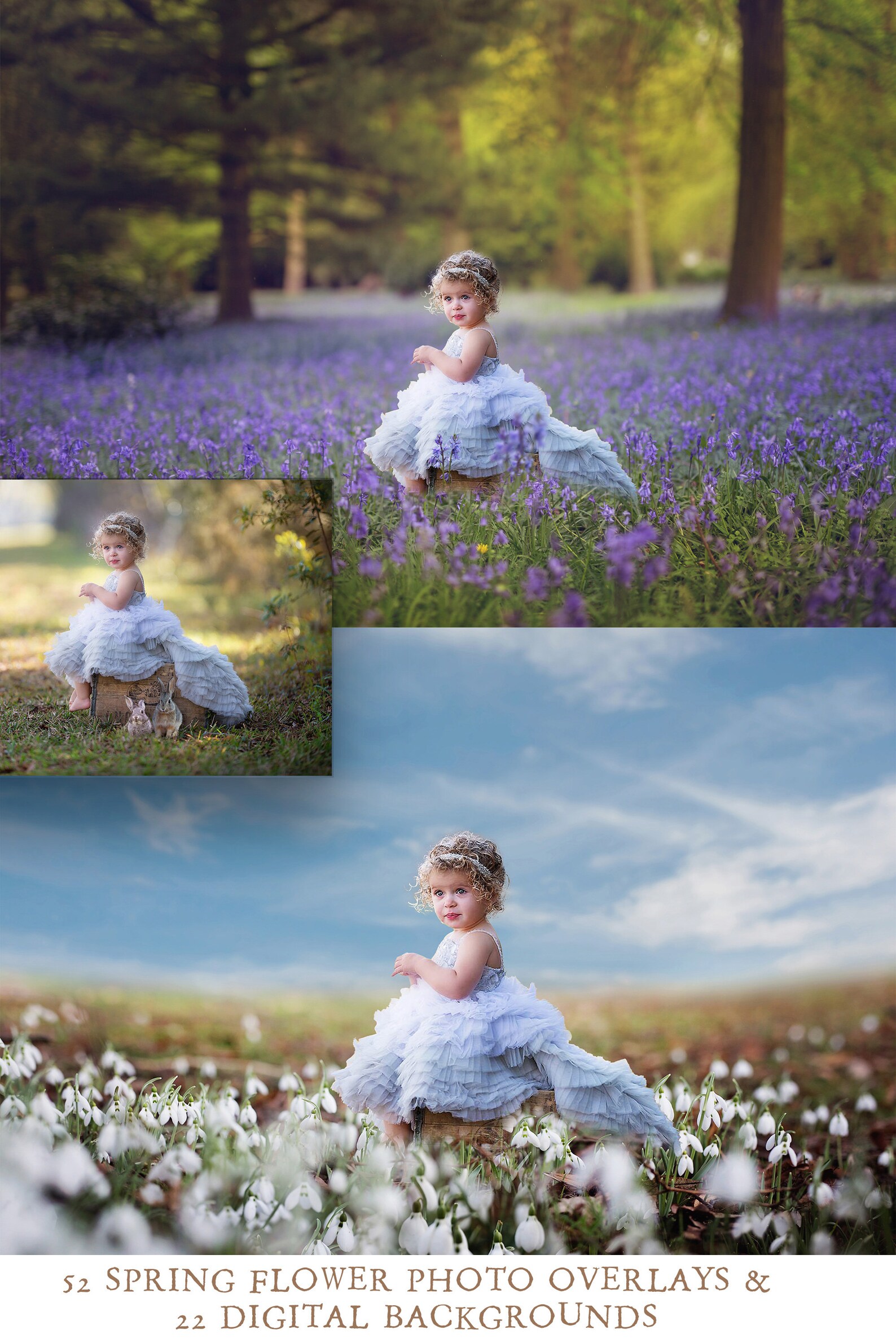 Spring flowers Photo Overlay Digital background Floral | Etsy