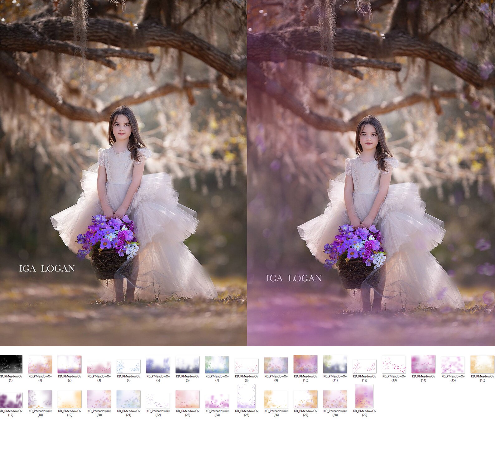 Painted Meadow Photo Overlays for Photographers - Etsy