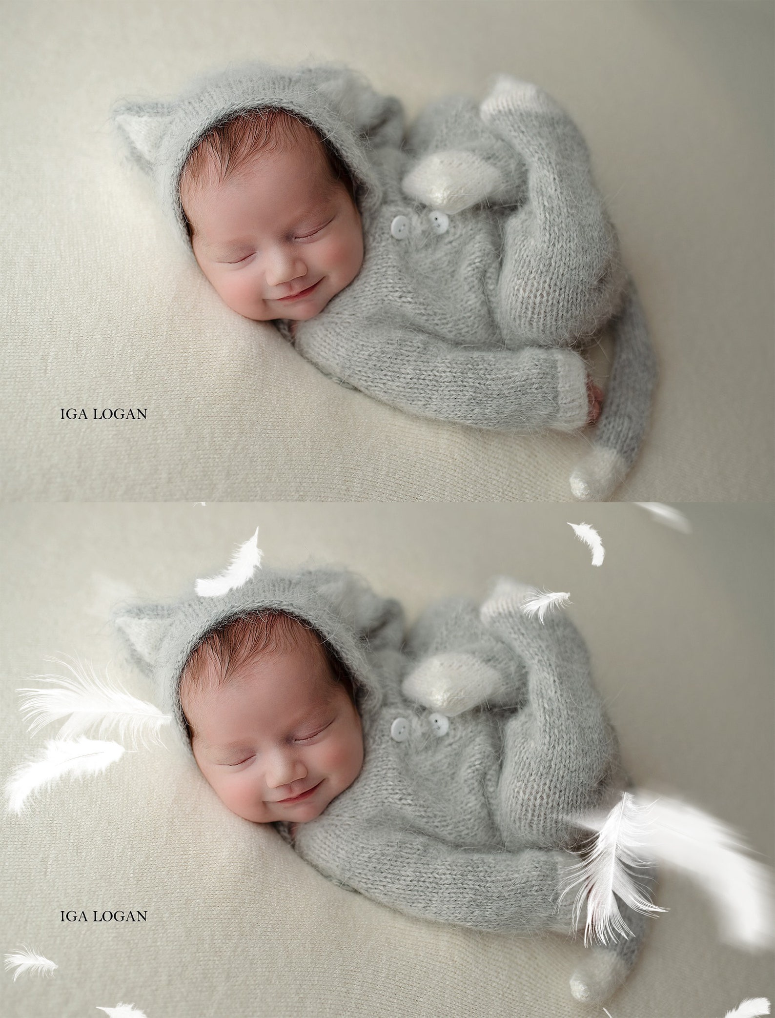 26 White Feather Overlays Falling Feathers Photoshop | Etsy