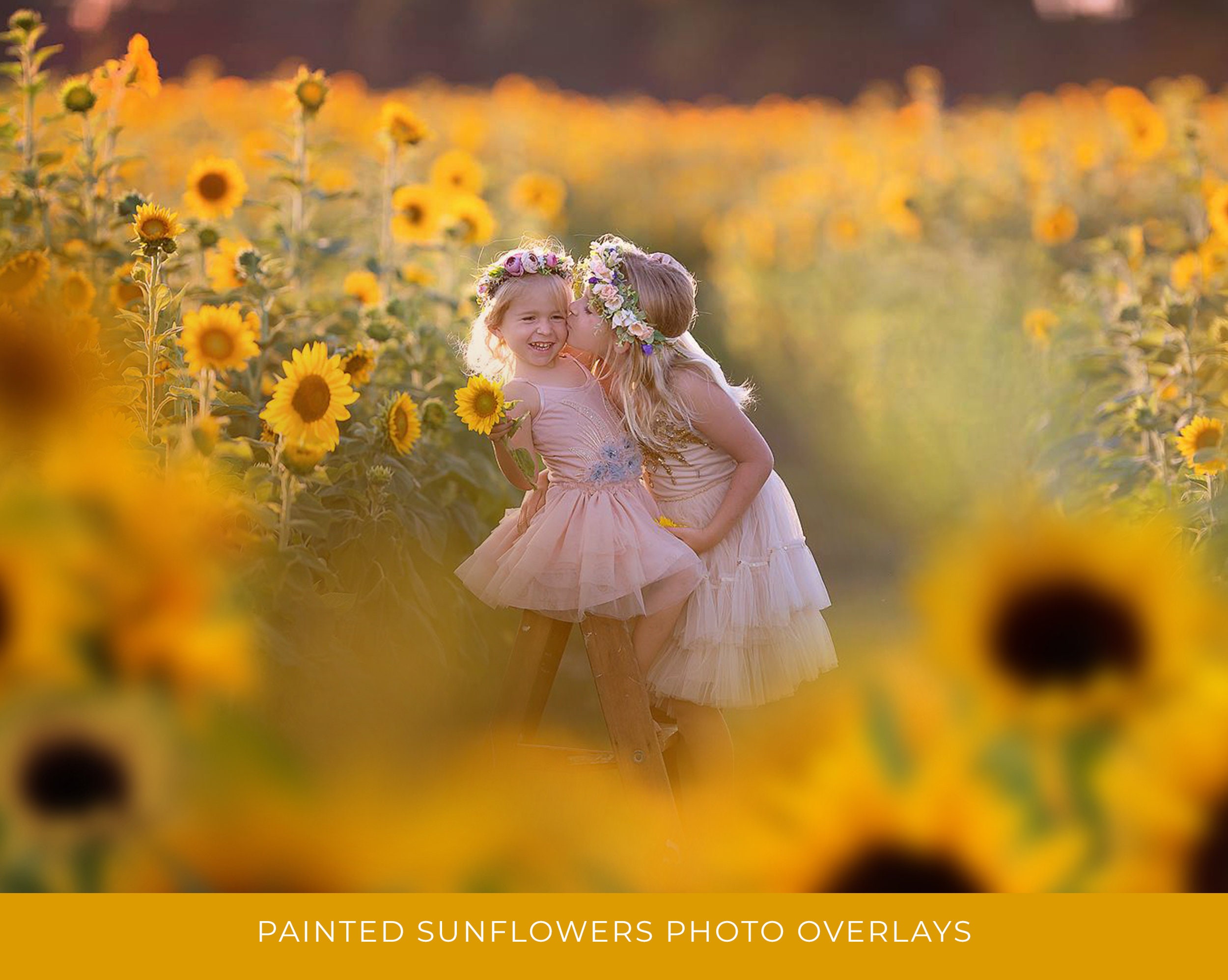 Sunflowers Photo Overlays for Photographers Painted - Etsy UK