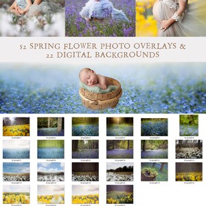 Spring Flowers Photo Overlay Digital Background Floral - Etsy UK