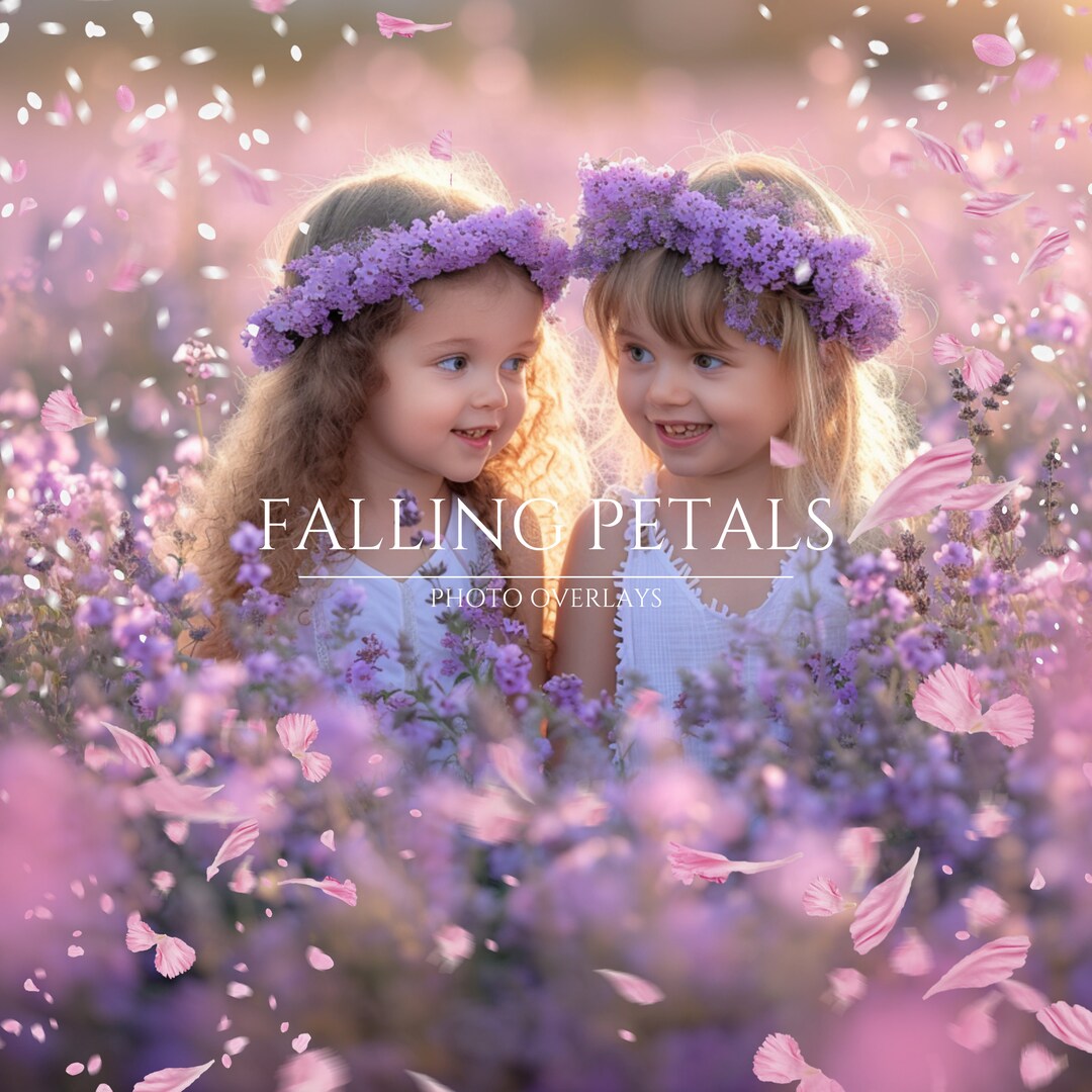 50 Falling Petals Photo Overlays, PNG Blossom Overlays for Composite ...