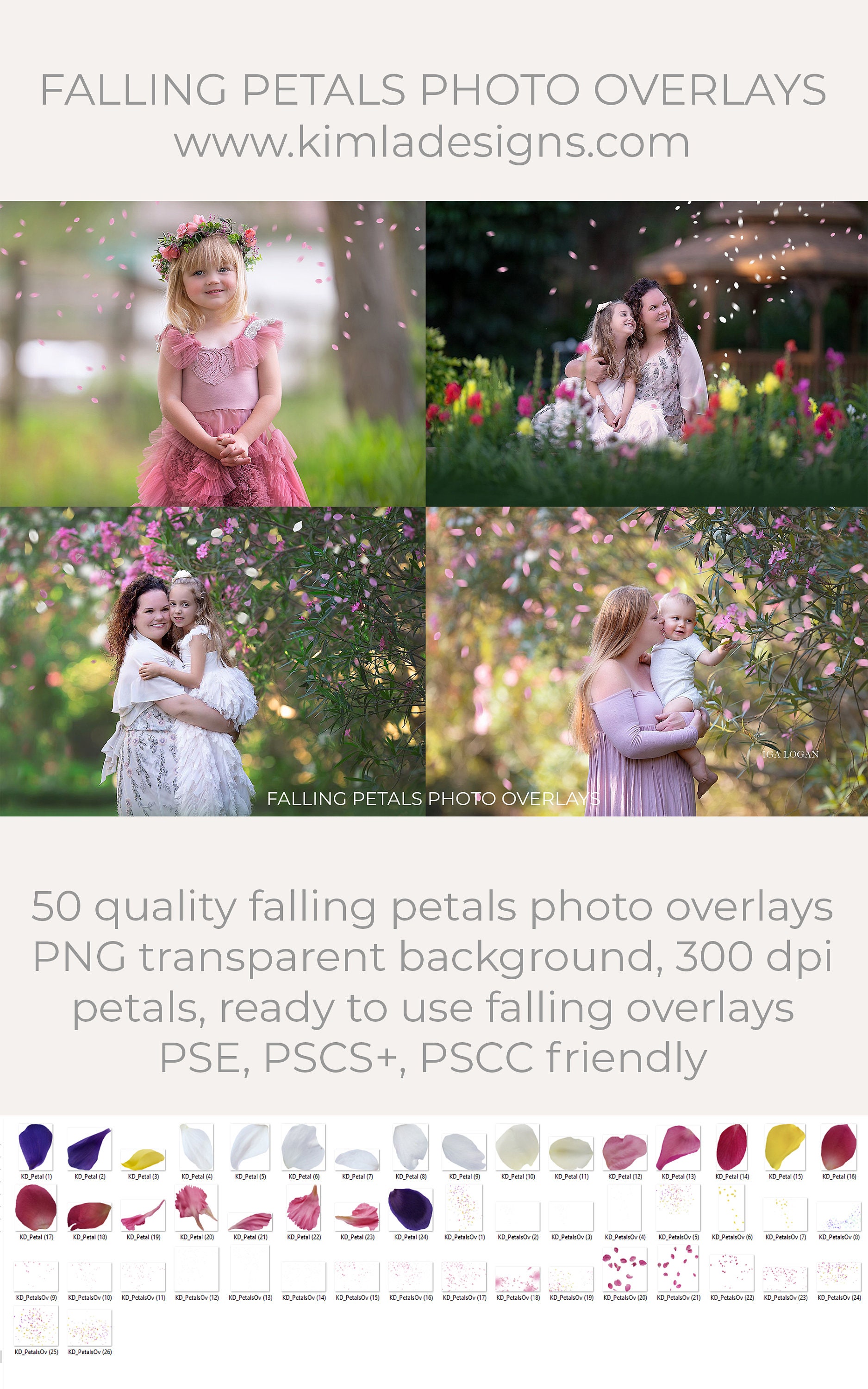 50 Falling Petals Overlays Photoshop Overlays Spring - Etsy UK