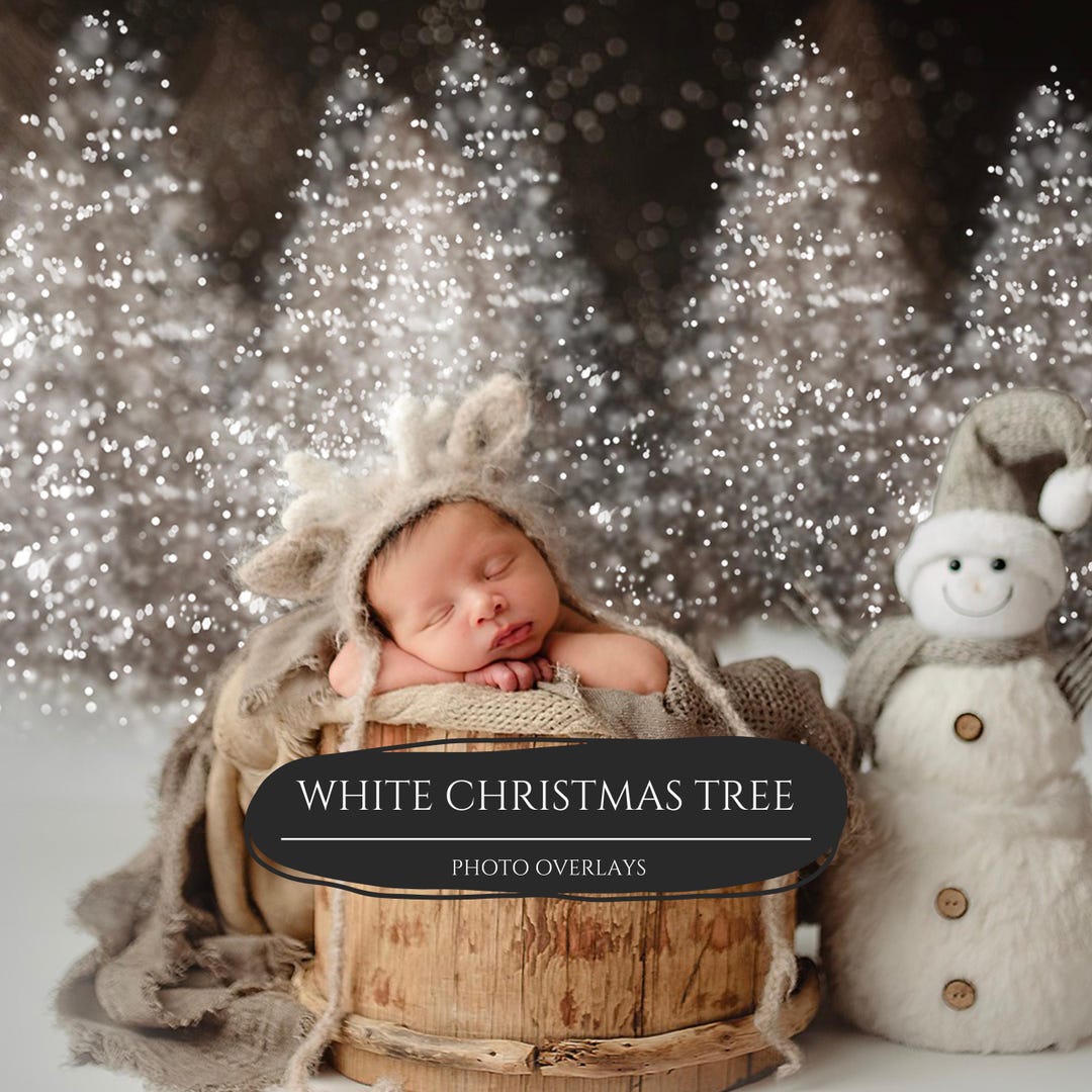 White Christmas Tree Photoshop Overlays Photo Effect, Studio Backdrop ...
