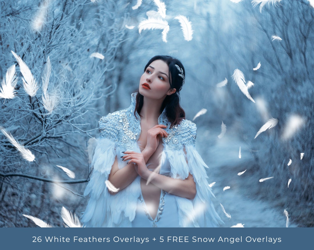 26 White Feather Overlays, Falling Feathers, Photoshop Overlays ...