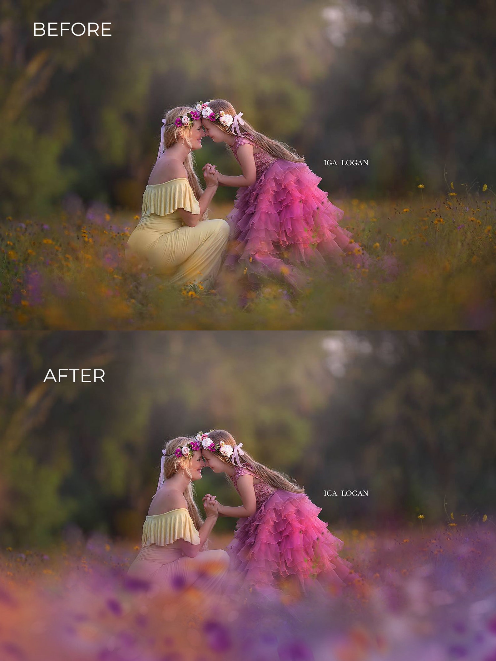 Painted Meadow Photo Overlays for Photographers | Etsy