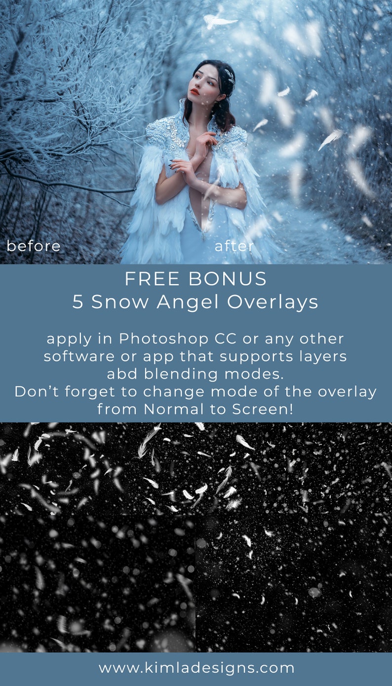 26 White Feather Overlays Falling Feathers Photoshop | Etsy