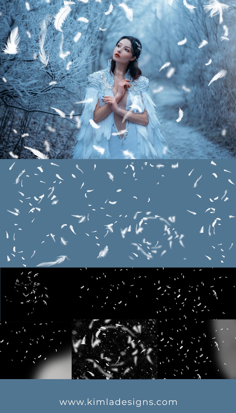 26 White Feather Overlays Falling Feathers Photoshop | Etsy