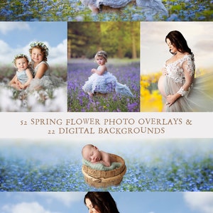 Spring Flowers Photo Overlay Digital Background Floral - Etsy UK