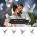 White Dove Overlays Wedding Doves Overlay Peace Birds Photoshop Composite Transparent Clipart ...