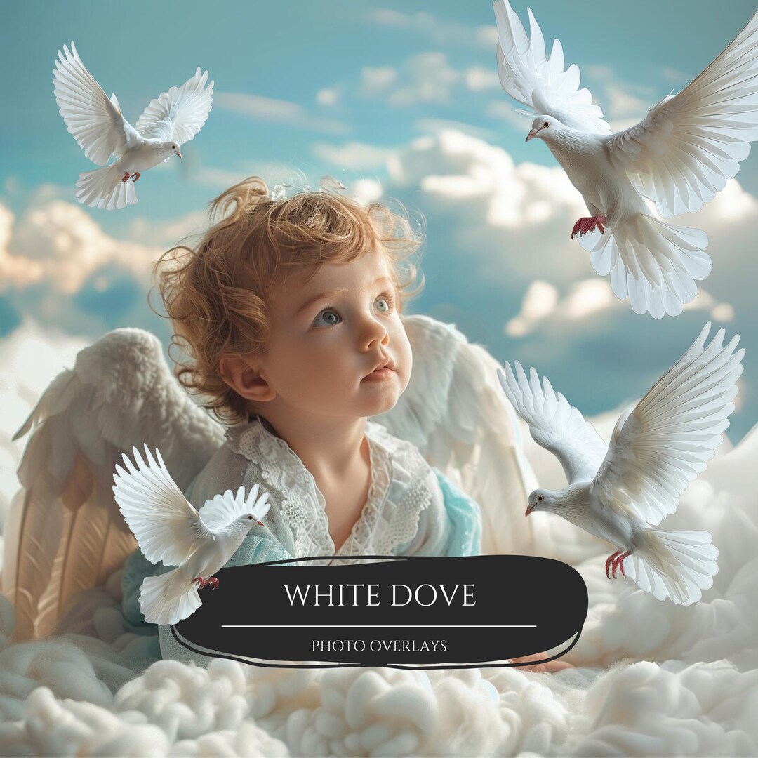 White Dove Overlays Wedding Doves Overlay Peace Birds Photoshop Composite Transparent Clipart ...